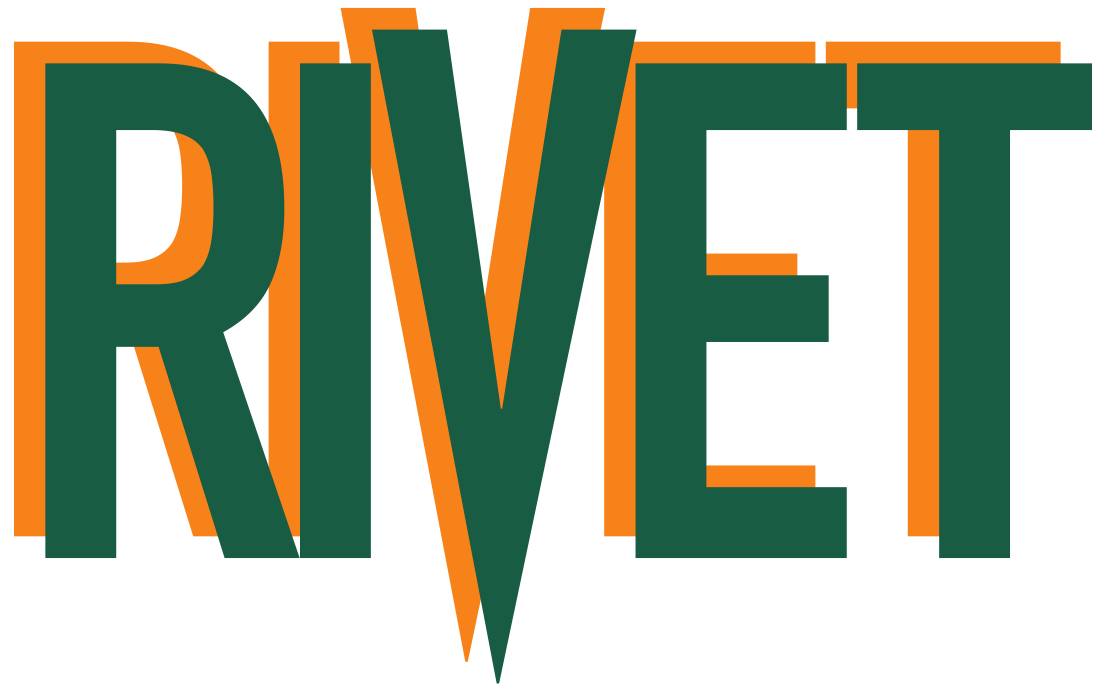 RIVET Project – Risk, values, and decision-making in climate economics